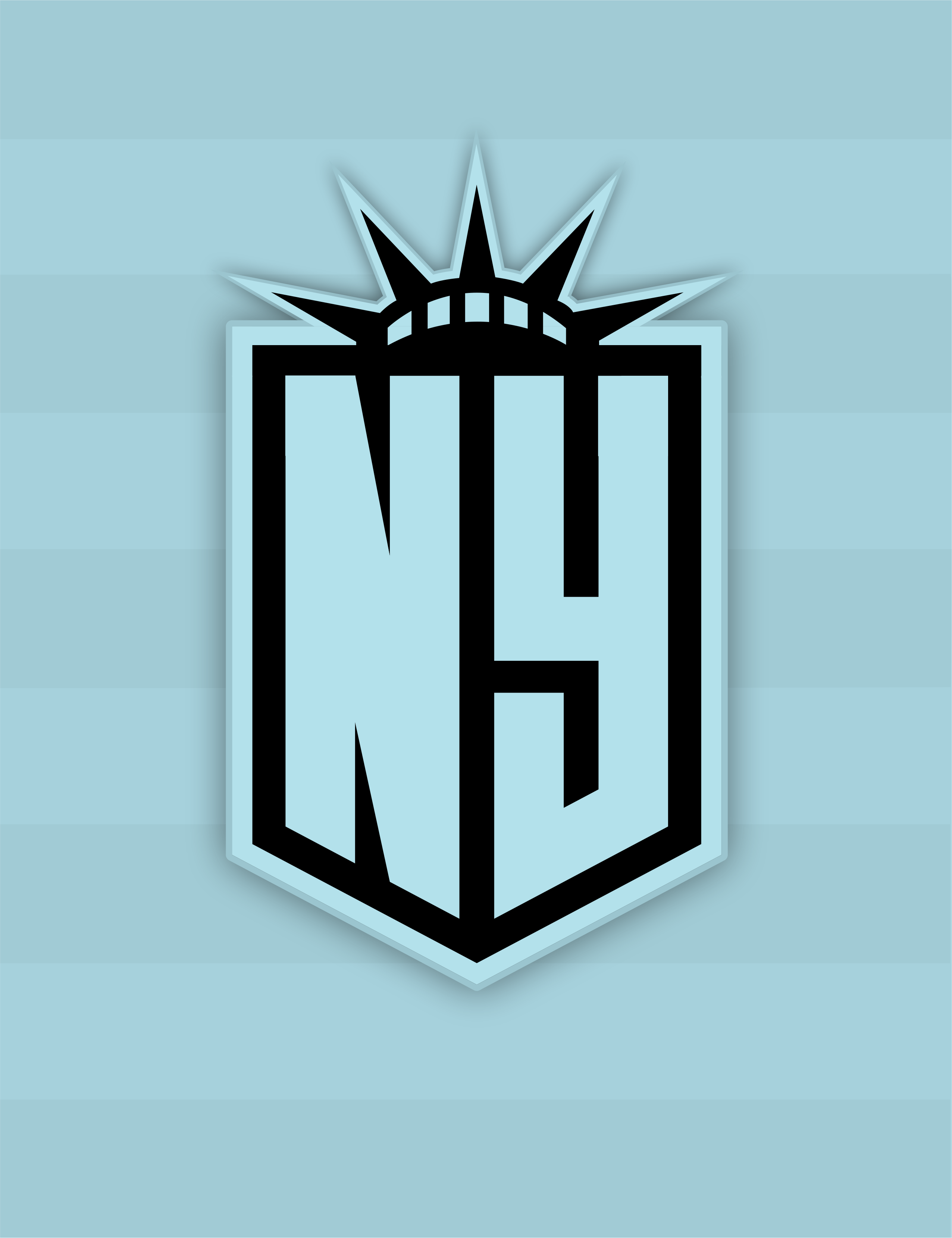NJ/NY GOTHAM FC