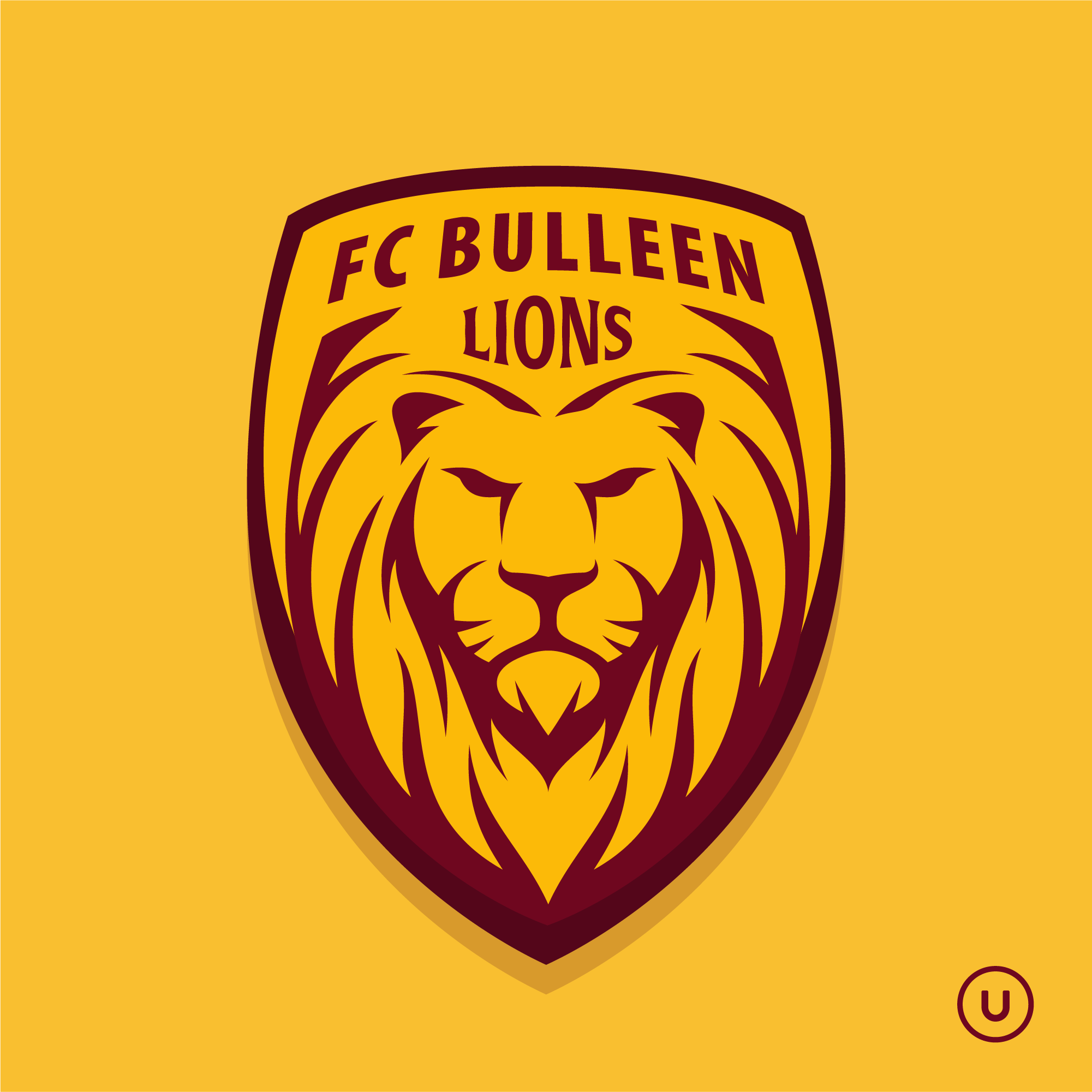 FC Bulleen Lions
