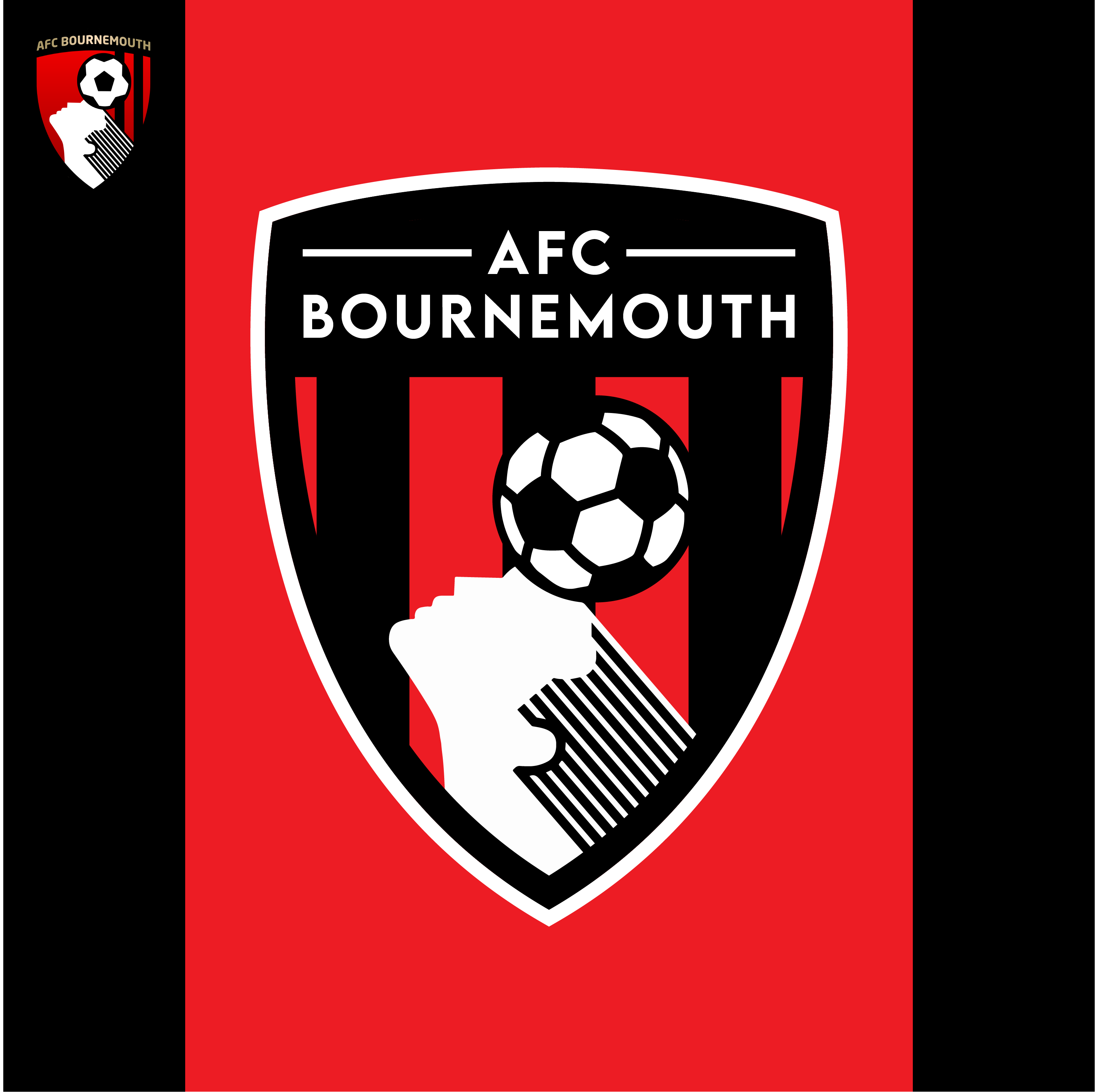 20 Premier League Teams in 20 days: AFC Bournemouth